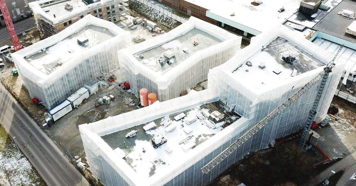 Portfolio und Asset Management für eine Schweizer Anlagestiftung | AREA ...